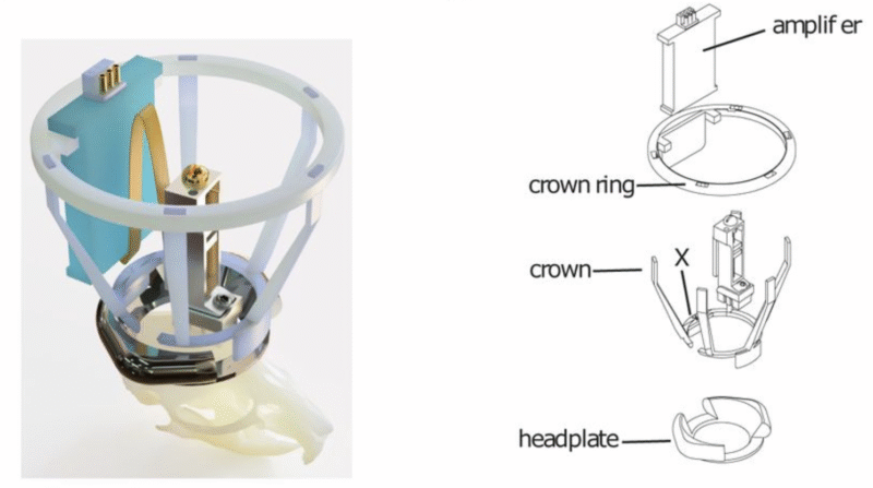Methods preprints! – 3Dneuro